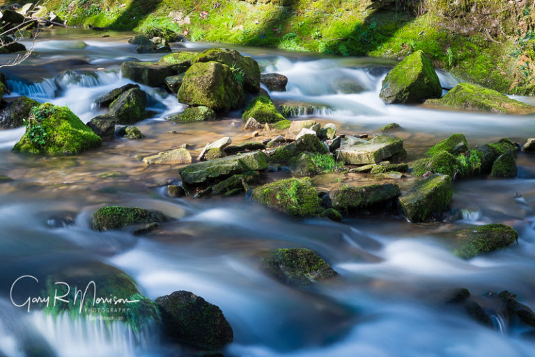 Exploring Cave River Valley Nature Preserve - Gary R. Morrison ...