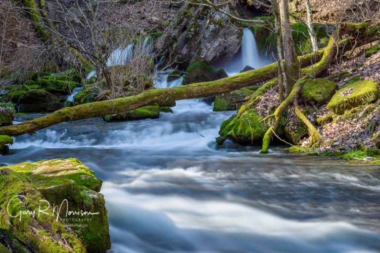 Exploring Cave River Valley Nature Preserve - Gary R. Morrison ...