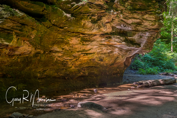 Turkey Run State Park and Falls Canyon Nature Preserve - Gary R ...